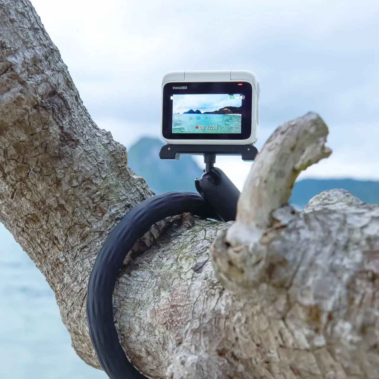 Buy Monkey Tail Mount - Flexible Camera Mount - Insta360 Store