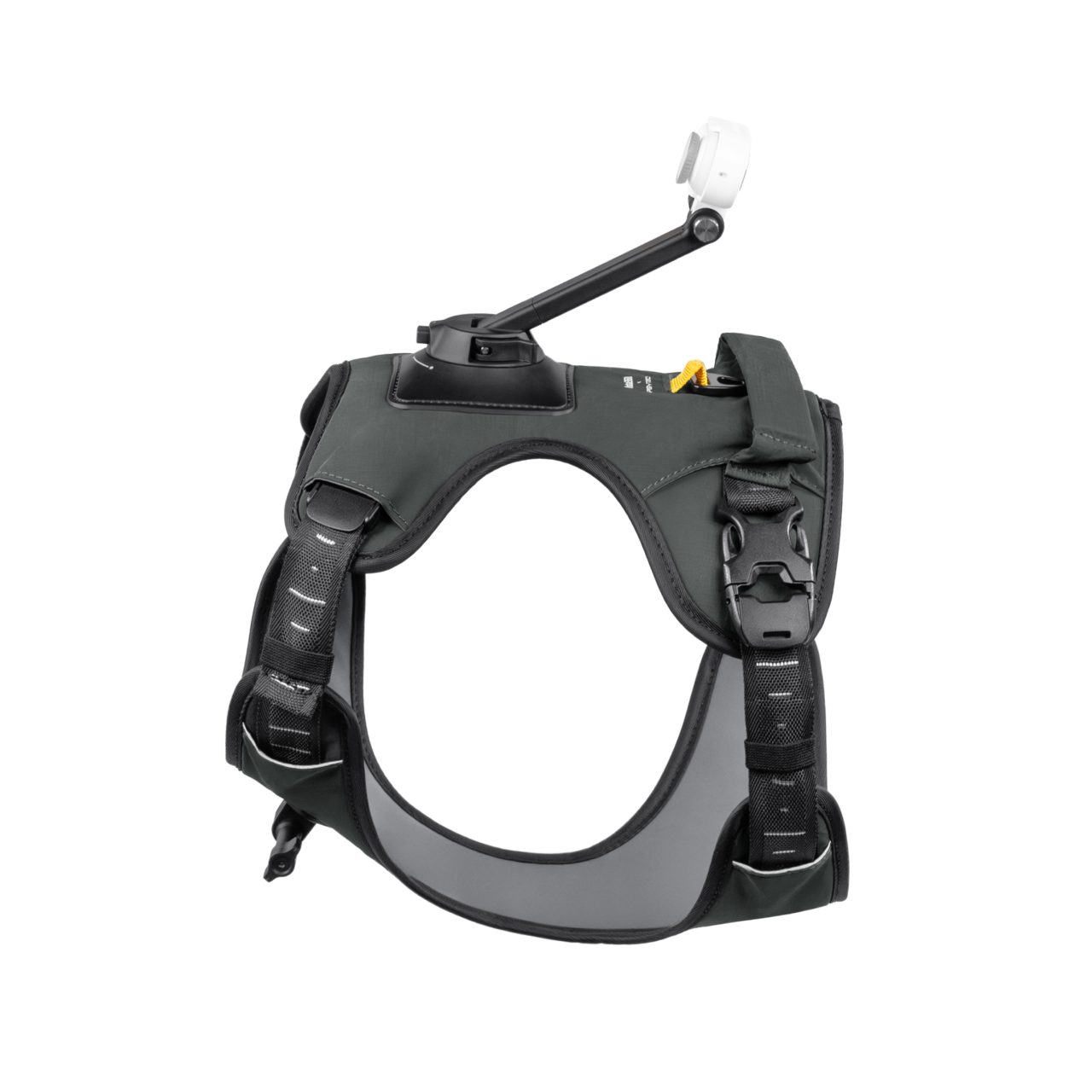 Buy Pet Harness Mount Size L - Insta360 Store