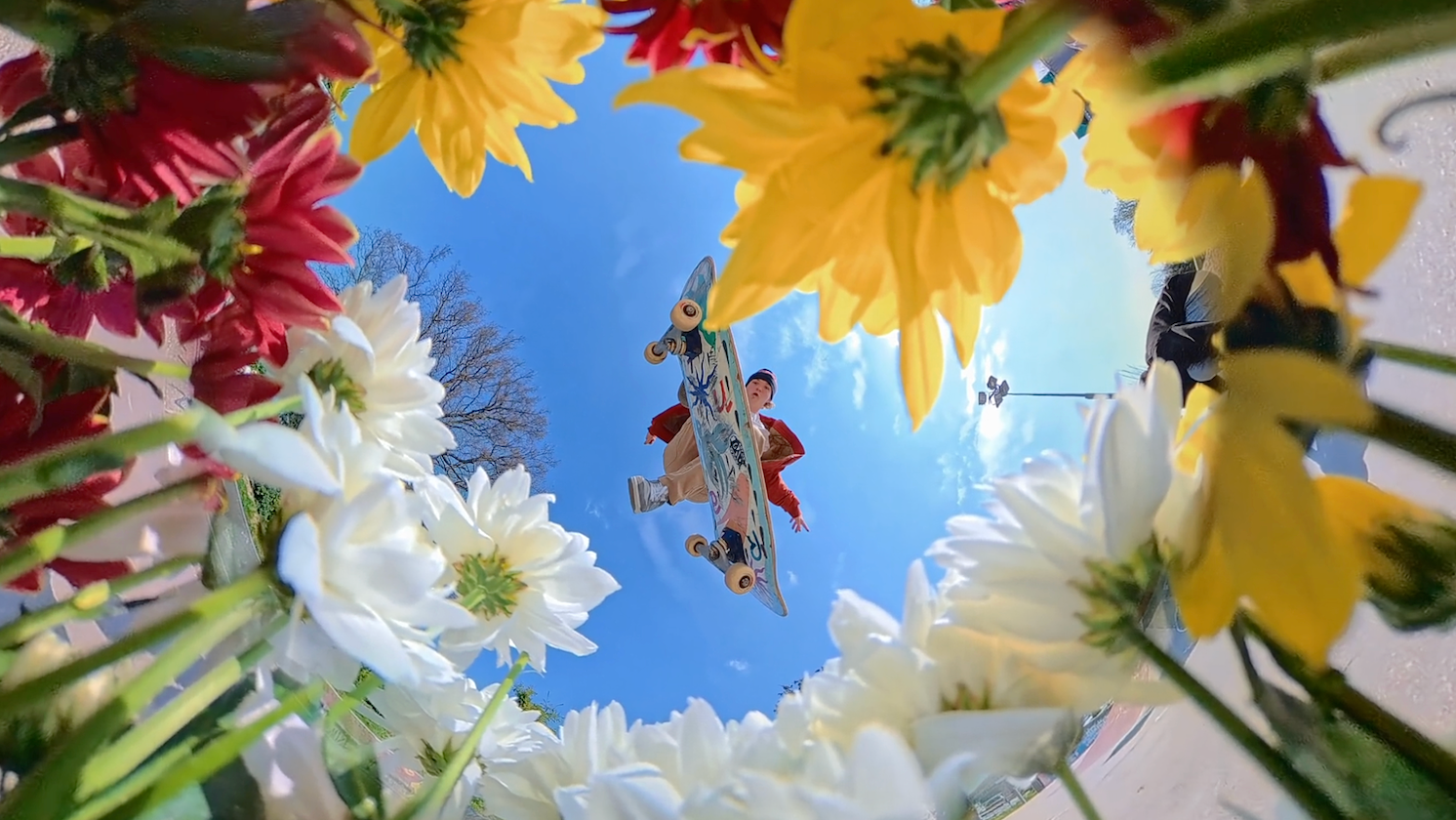 Best Budget Cameras for Vlogging 2026: Insta360's Top Picks