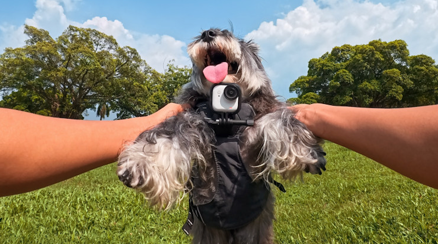 Best Budget Cameras for Vlogging 2025: Insta360's Top Picks