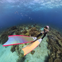 Buy X3 Invisible Dive Case - Waterproof Camera Case - Insta360 Store